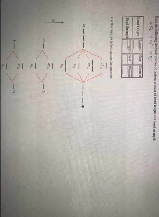 Solved For the diagram below, label each molecular orbital | Chegg.com