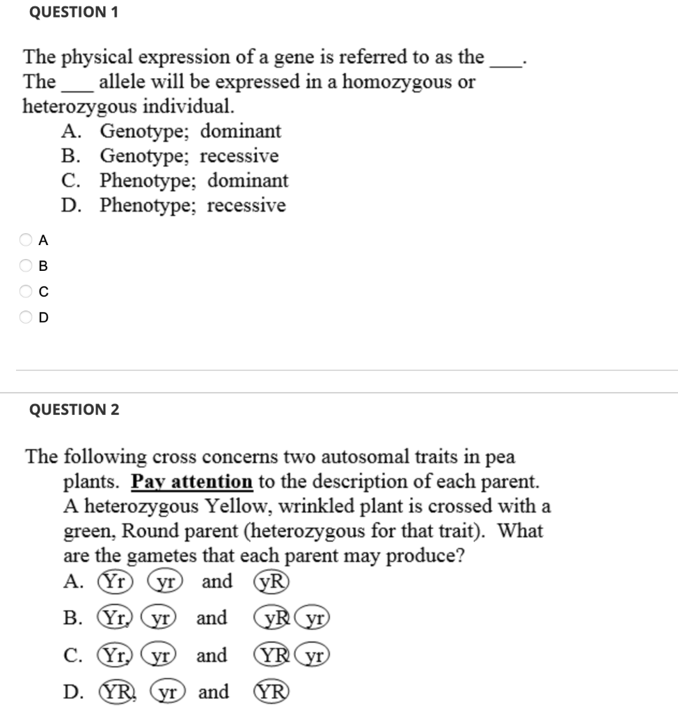 Solved QUESTION 1 The physical expression of a gene is | Chegg.com