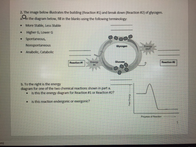 Solved The image below illustrates the building (Reaction | Chegg.com