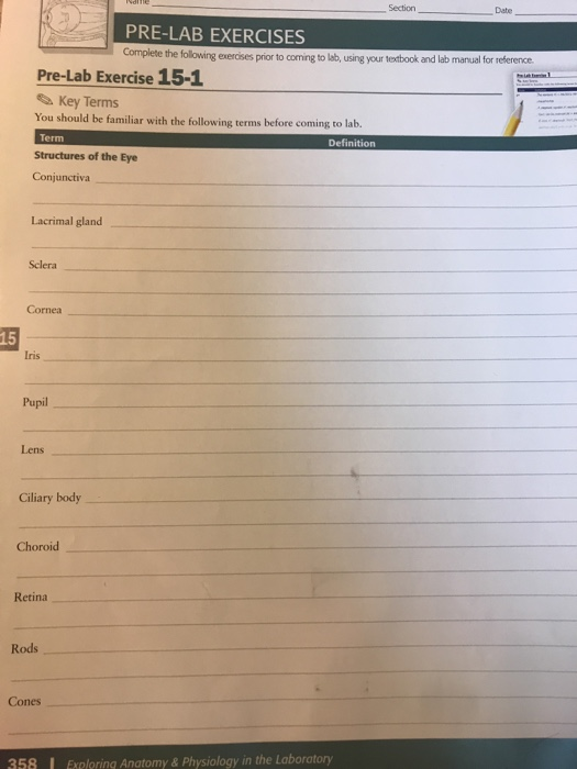 Solved Section Date PRE-LAB EXERCISES Complete the followi | Chegg.com