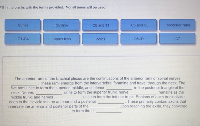 Solved Fill in the blanks with the terms provided. Not all | Chegg.com