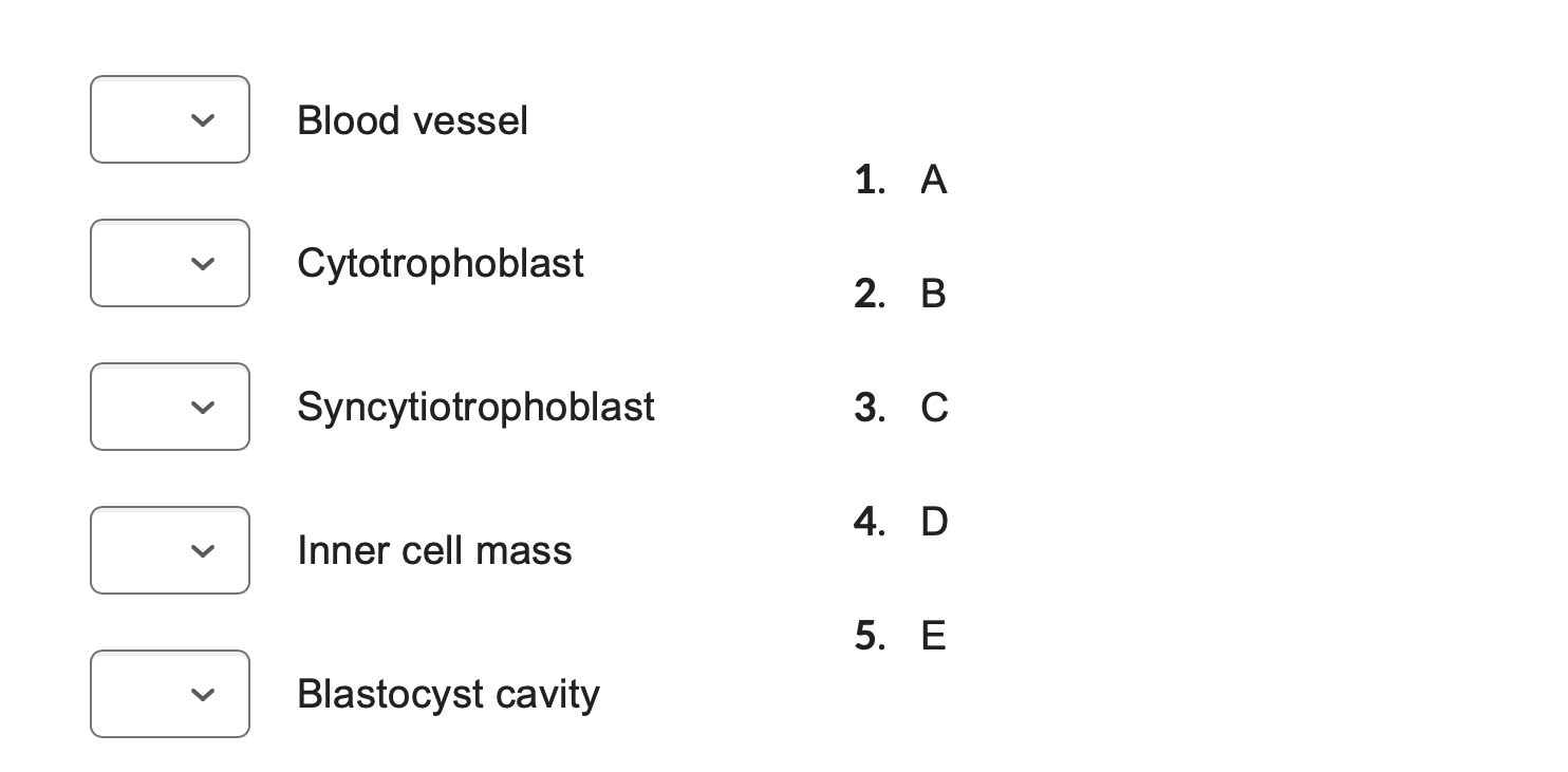 Solved Blood | Chegg.com
