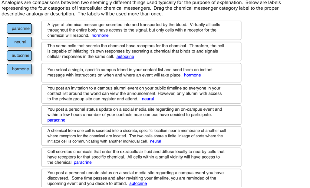 Solved Analogies are comparisons between two seemingly | Chegg.com