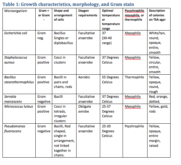3. Below are your Gram stain results. (8 points) a. | Chegg.com