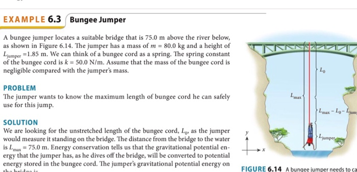Solved EXAMPLE 6.3 Bungee Jumper A bungee jumper locates a | Chegg.com