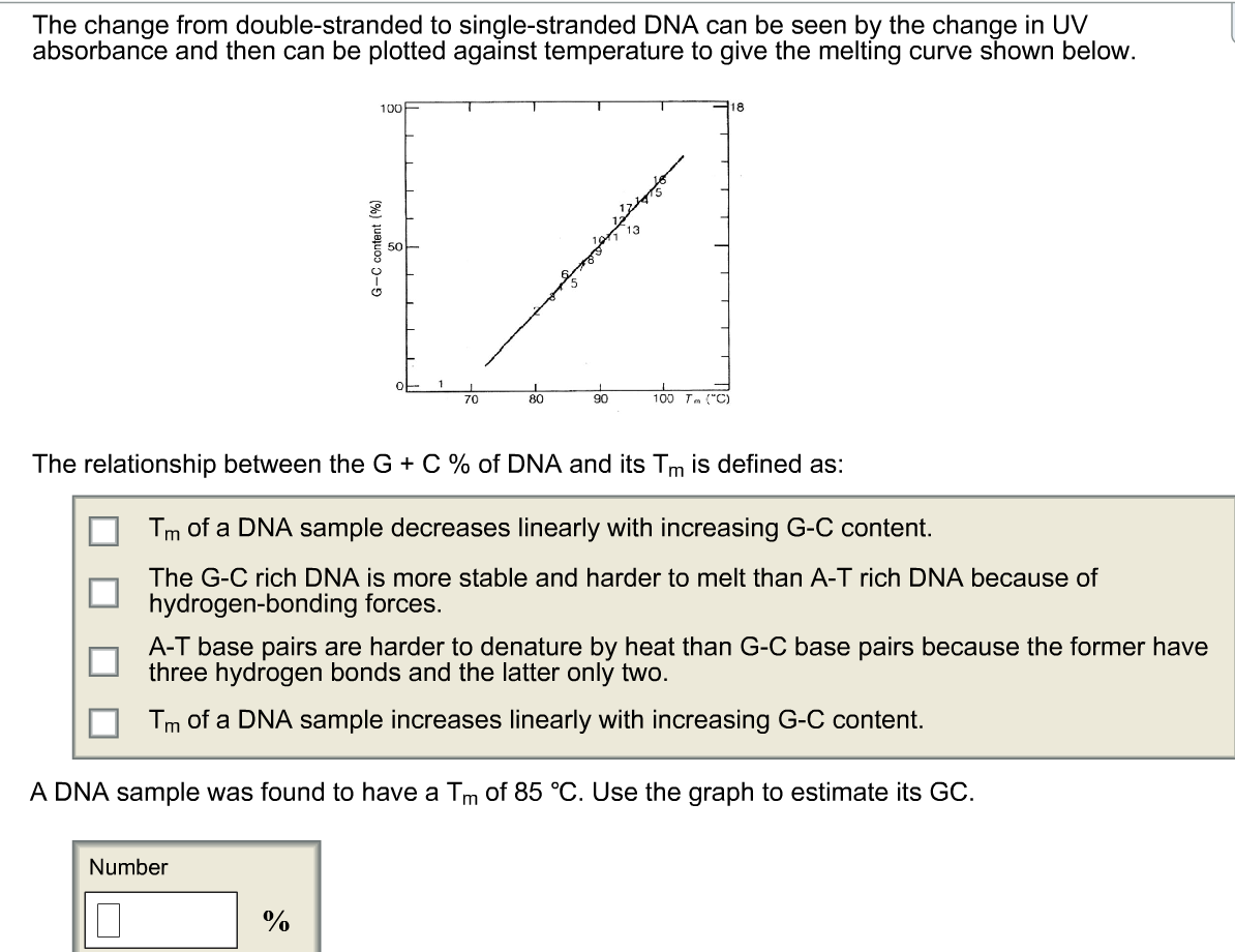 Solved e stability of native doubled stranded DNA can be | Chegg.com