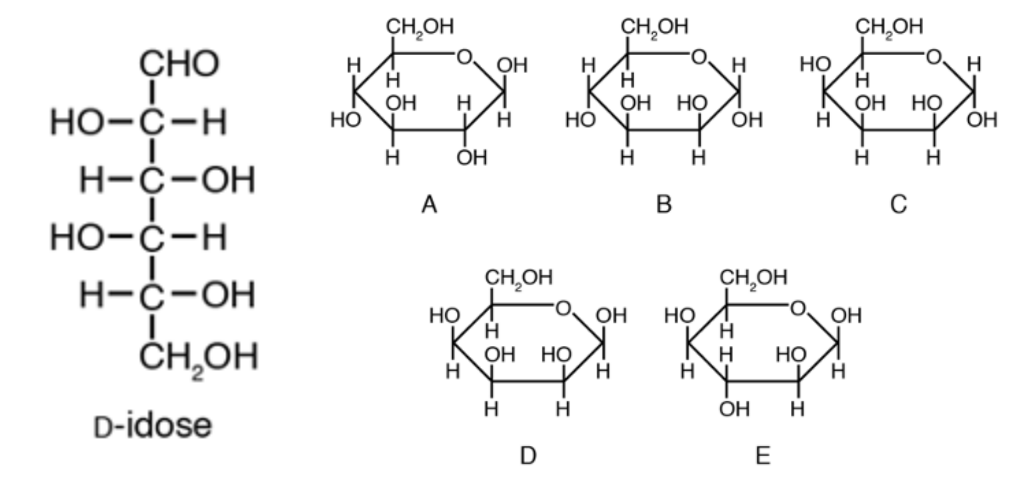Solved Given the Fischer projection of D-idose, which of the | Chegg.com