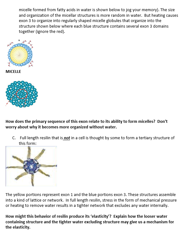 3. The primary sequence of the protein resilin is | Chegg.com