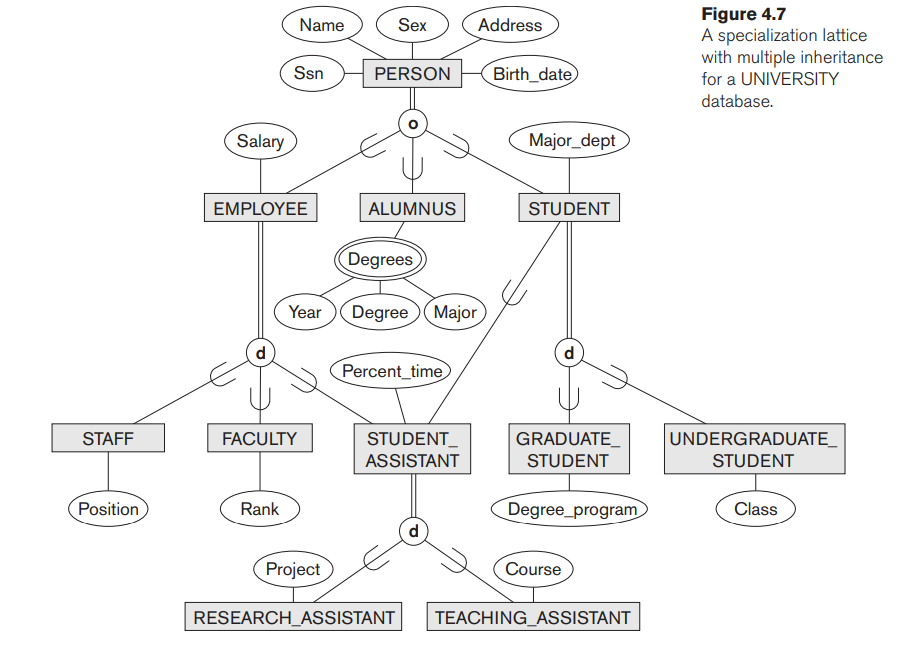 Solved draw an EER schema diagram following. Using Software | Chegg.com