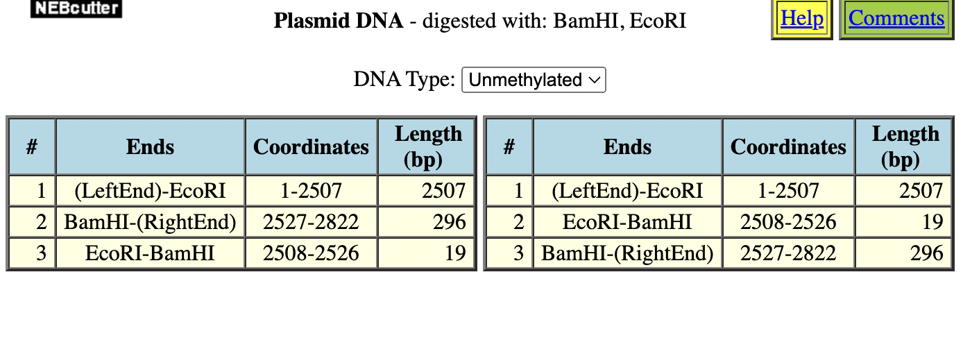 Solved Step 1. Record the length of the longest fragment, | Chegg.com