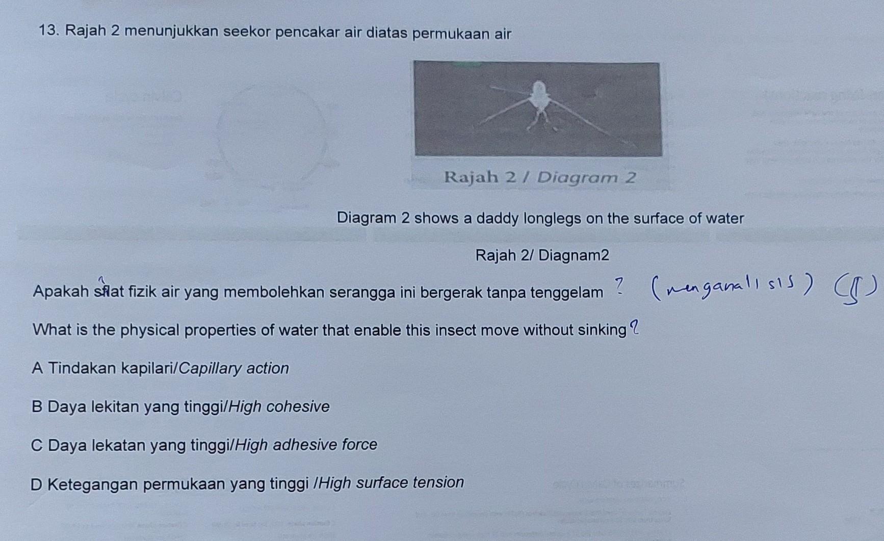 Solved Rajah 2 ﻿menunjukkan seekor pencakar air diatas | Chegg.com