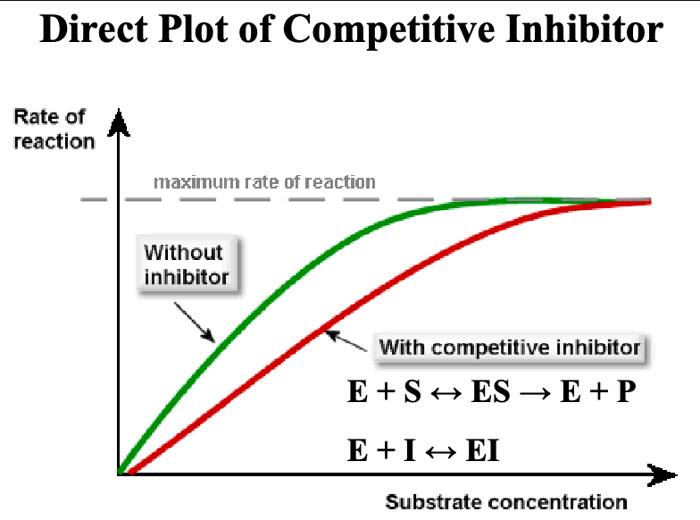 Solved Can someone please explain to me how to understand | Chegg.com