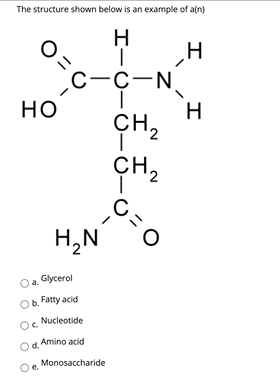 Solved The structure shown below is an example of a[n) H 1 | Chegg.com