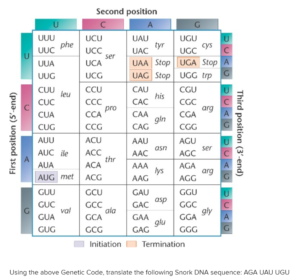 Solved phe cys UUU UUC UUA UUG Second position C UCU UAU UGU | Chegg.com