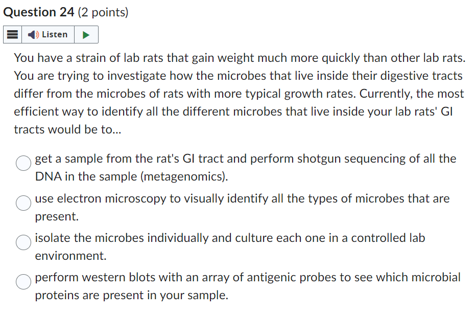 Solved You have a strain of lab rats that gain weight much | Chegg.com