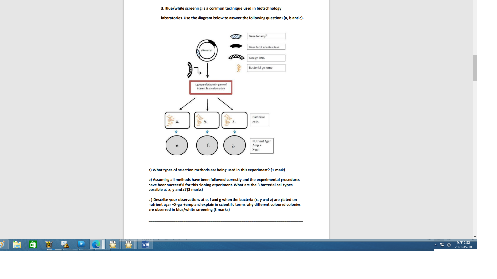 Solved 3. Blue/white screening is a common technique used in | Chegg.com