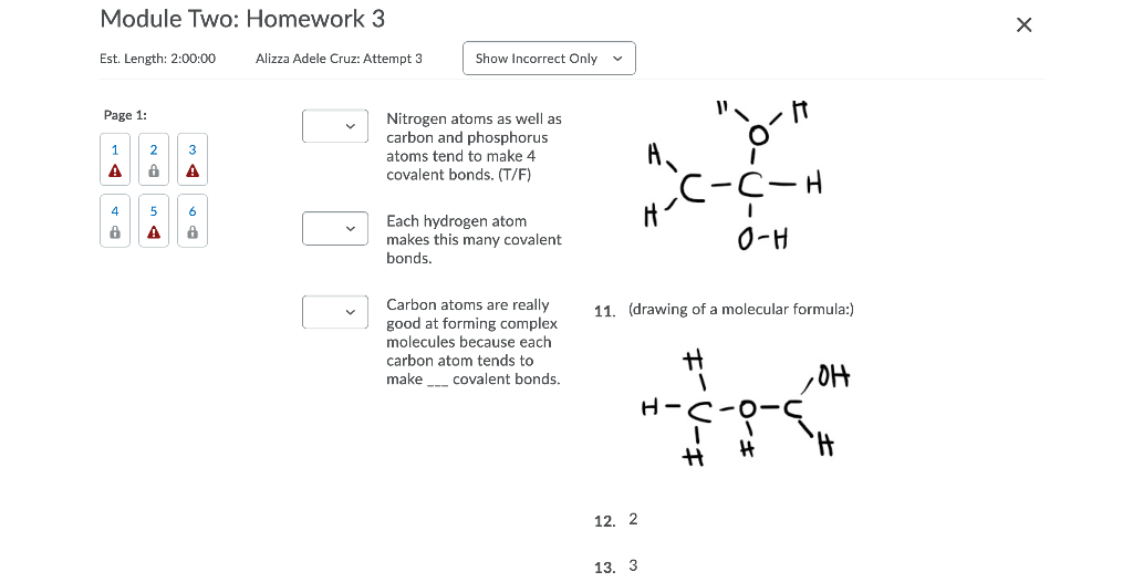 Solved Module Two: Homework 3 х Est. Length: 2:00:00 Alizza | Chegg.com
