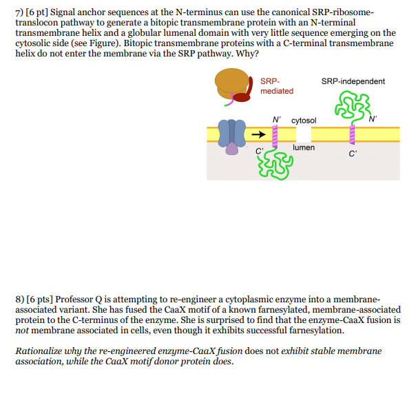 7) [6 pt] Signal anchor sequences at the N-terminus | Chegg.com