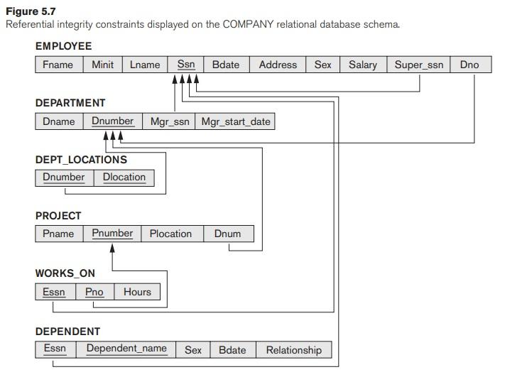 Solved Consider the database shown in Figure 5.6, whose | Chegg.com