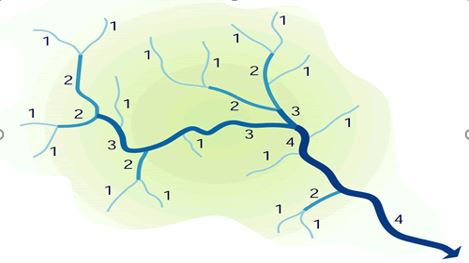 Solved Part 2 - Stream Ordering & Drainage Pattern Note; | Chegg.com