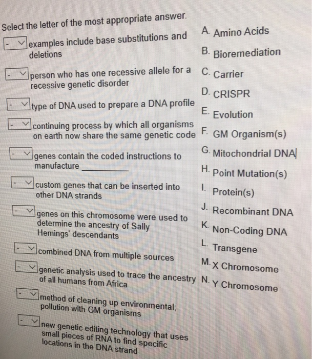 Solved Select The Letter Of The Most Appropriate Answer