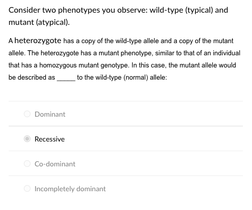 Solved Consider two phenotypes you observe: wild-type | Chegg.com