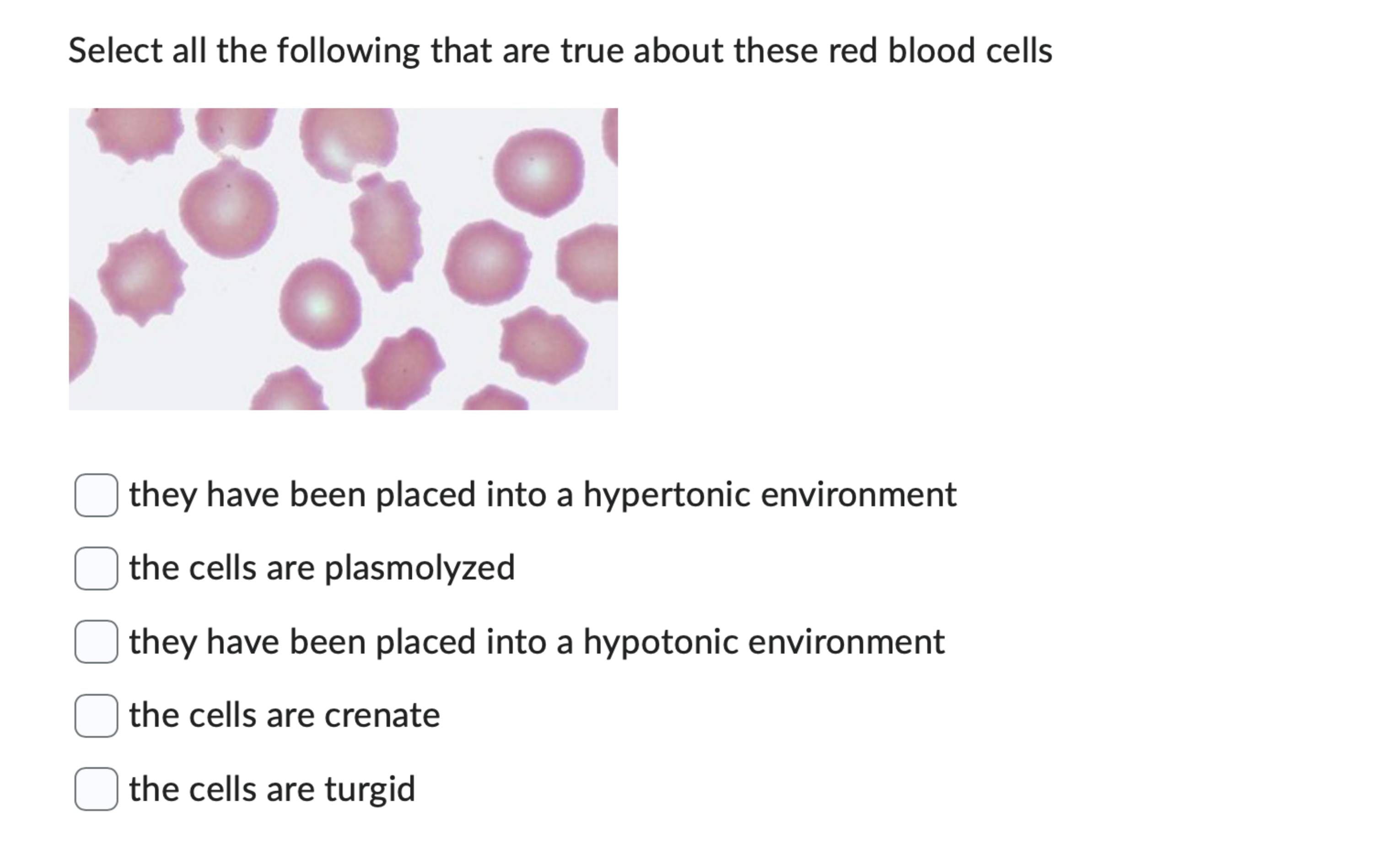 Solved Select all the following that are true about these | Chegg.com
