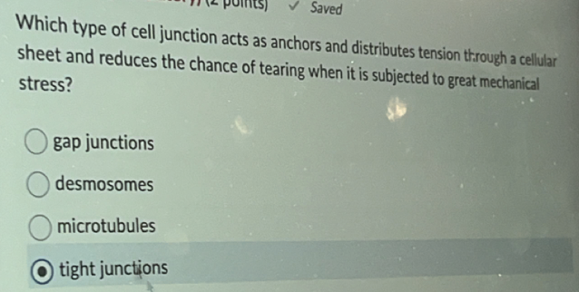 Solved Which type of cell junction acts as anchors and | Chegg.com