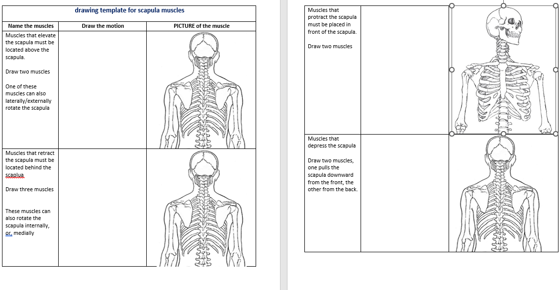 Solved \begin{tabular}{|l|l|l|} \hline & drawing template | Chegg.com