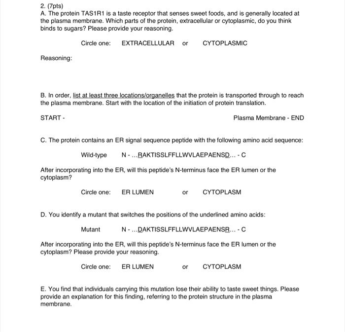 Solved 2. (7pts) A. The protein TAS1R1 is a taste receptor | Chegg.com