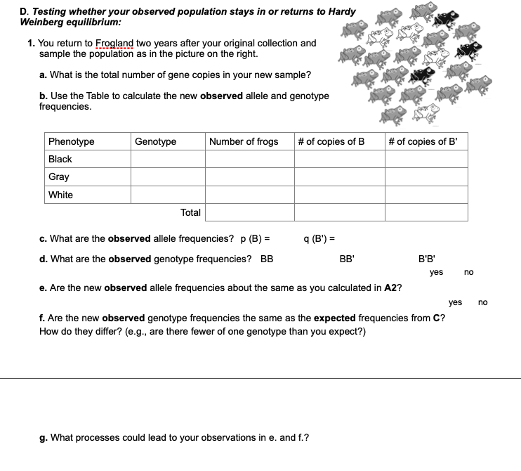 Solved Calculating Observed Genotype and Allele Frequencies | Chegg.com