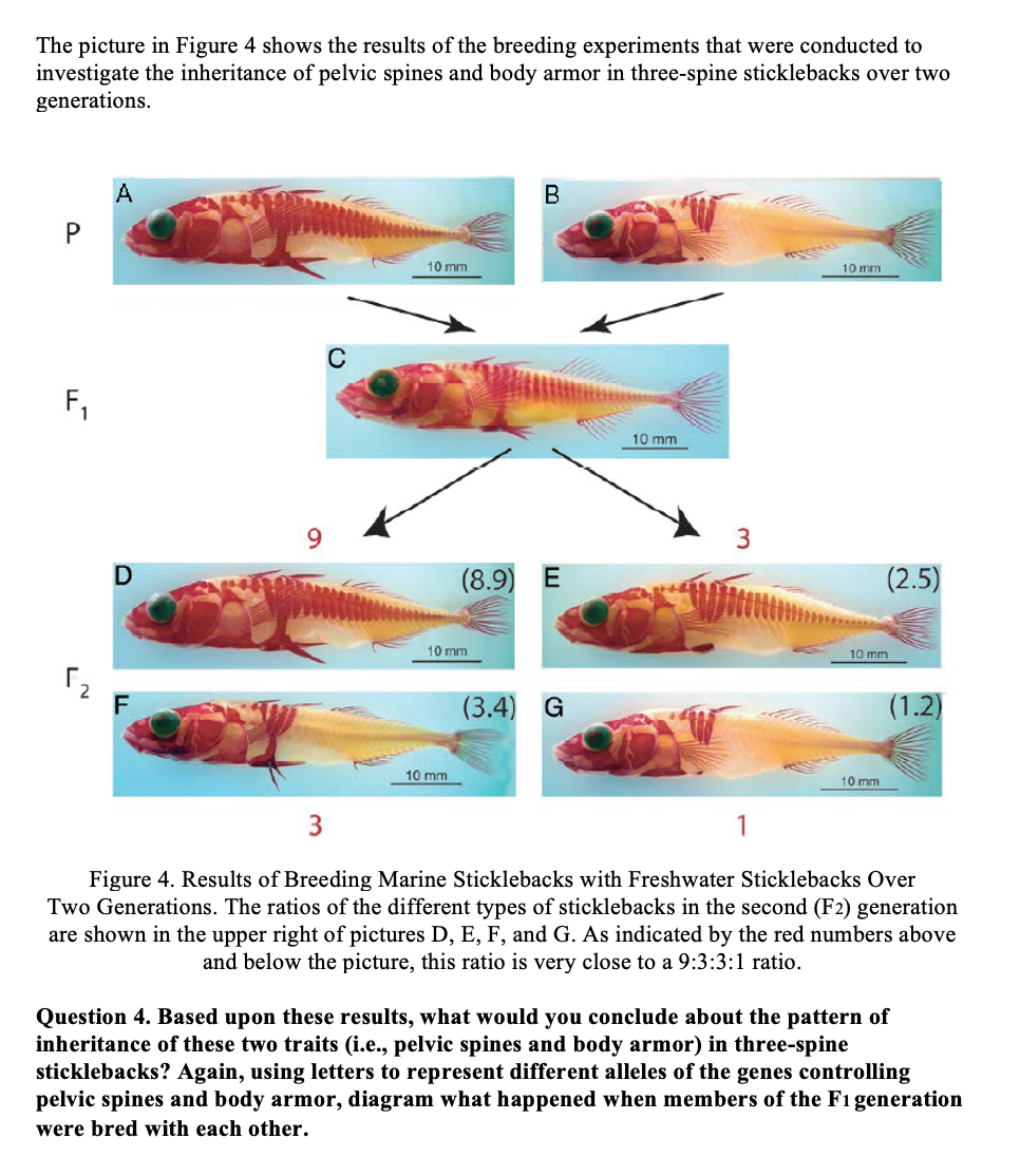 Solved The picture in Figure 4 shows the results of the | Chegg.com