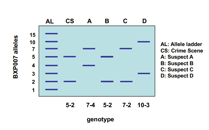 Solved I have question relate to Polymerase Chain | Chegg.com