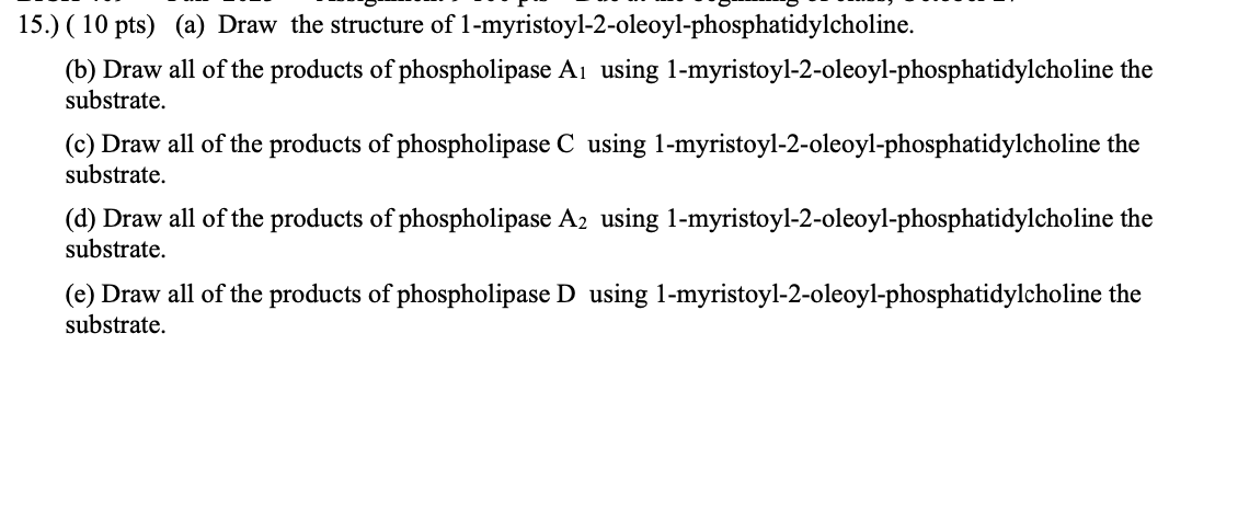 Solved Please draw each structure correctly. | Chegg.com