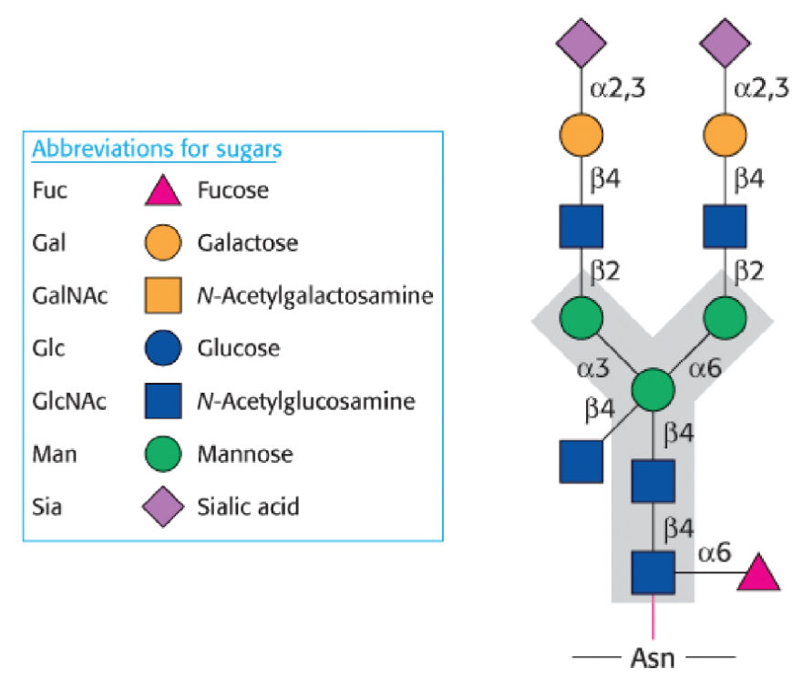 Solved QUESTION 2 The cartoon below shows the structure of | Chegg.com