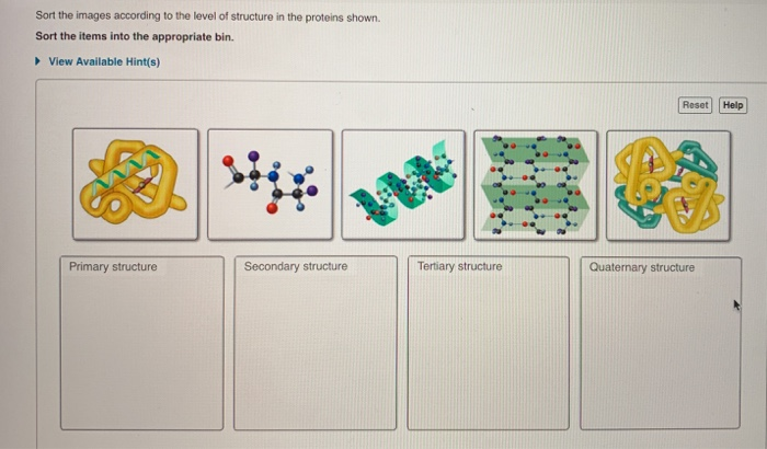 Solved Reset Help Primary Secondary Tertiary Quaternary | Chegg.com