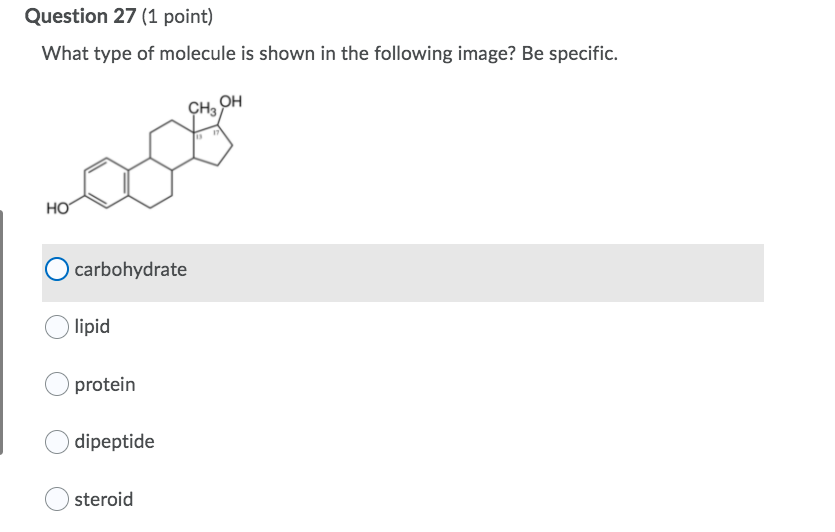 Solved Question 27 (1 point) What type of molecule is shown | Chegg.com