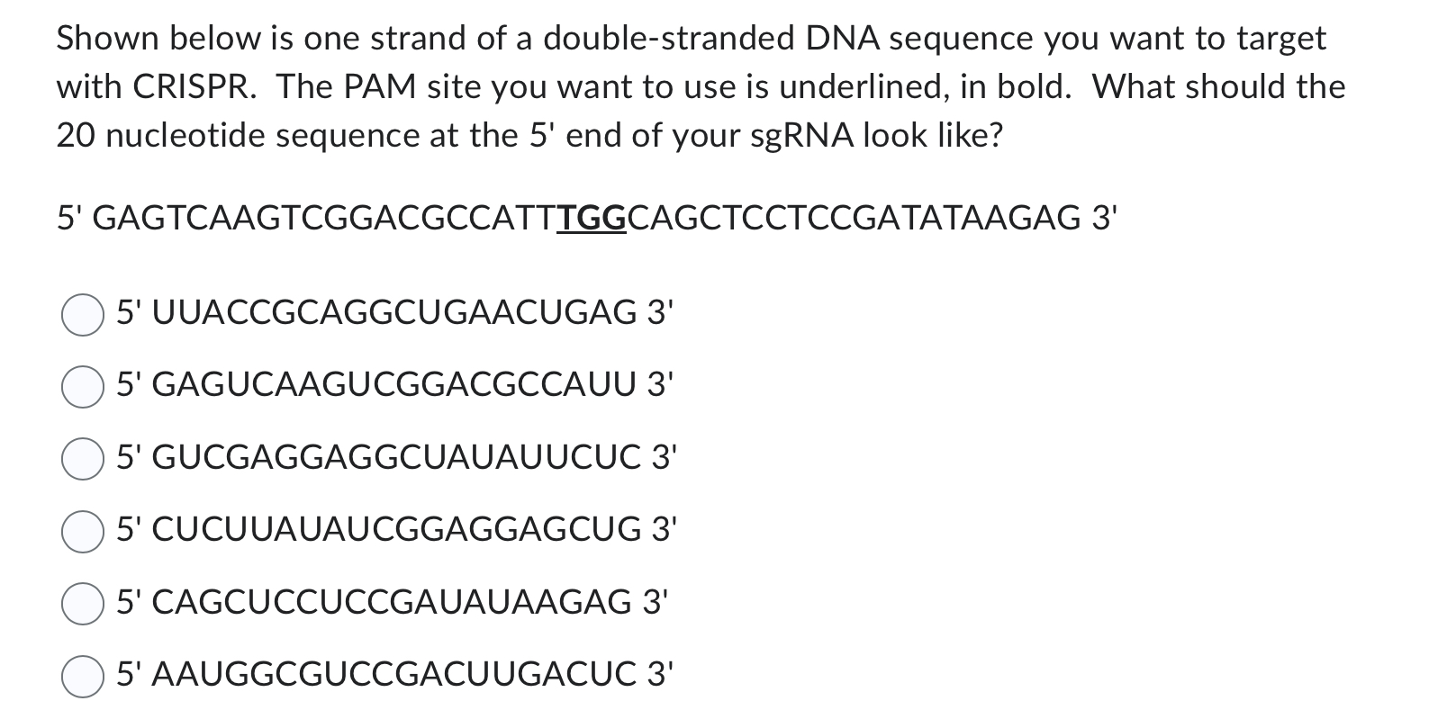 Solved Shown below is one strand of a double-stranded DNA | Chegg.com