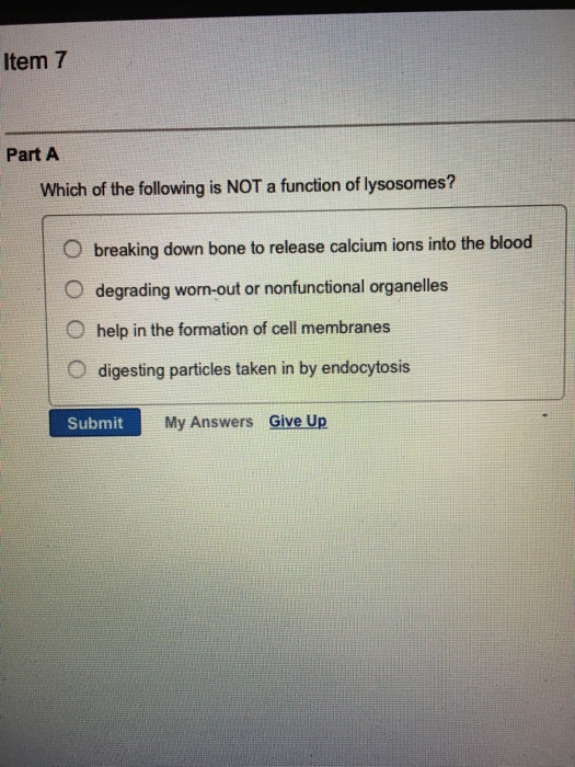 Solved Which of the following is NOT a function of | Chegg.com
