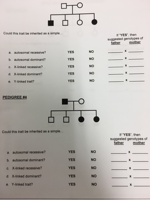 Solved Could this trait be inherited as a simple... f "YES". | Chegg.com