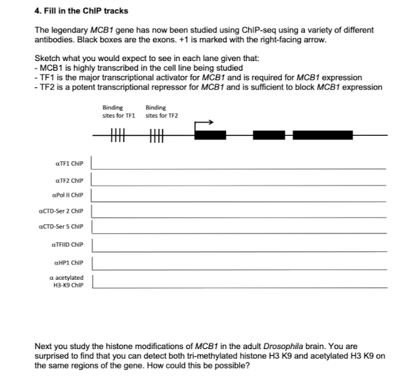 Solved 4. Fill in the ChIP tracks The legendary MCB1 gene | Chegg.com