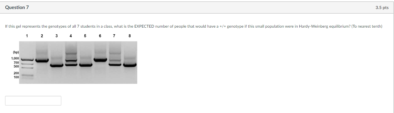 Solved Question 7 3.5pts | Chegg.com