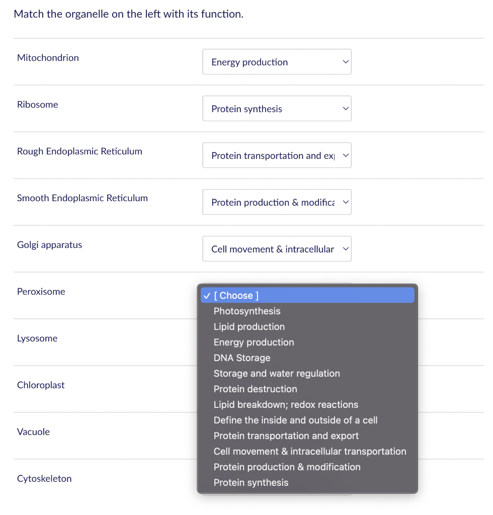 Solved Match the organelle on the left with its function. | Chegg.com
