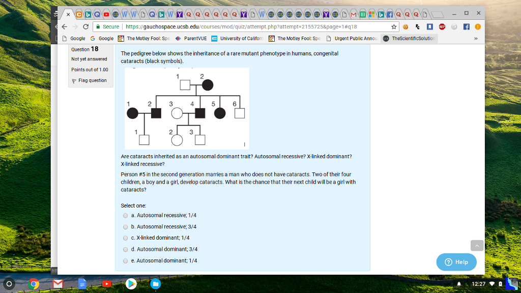 Solved Dolo@lYO gauchospace.ucsb.edu courses mod | Chegg.com