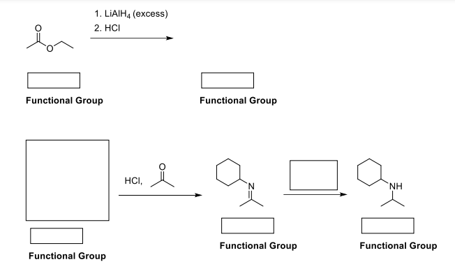 Solved 1. LIAIH4 (excess) 2. HCI ho Functional Group | Chegg.com