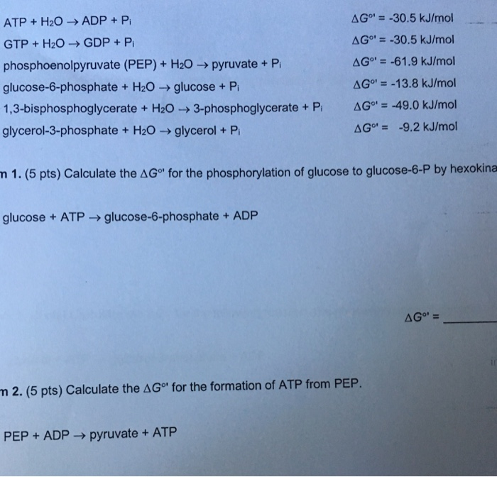 Solved ATP + H2O ADP FP GTP+H2O- GDP+ P phosphoenolpyruvate | Chegg.com