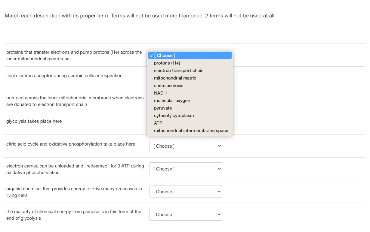 Solved Match each description with its proper term. Terms | Chegg.com