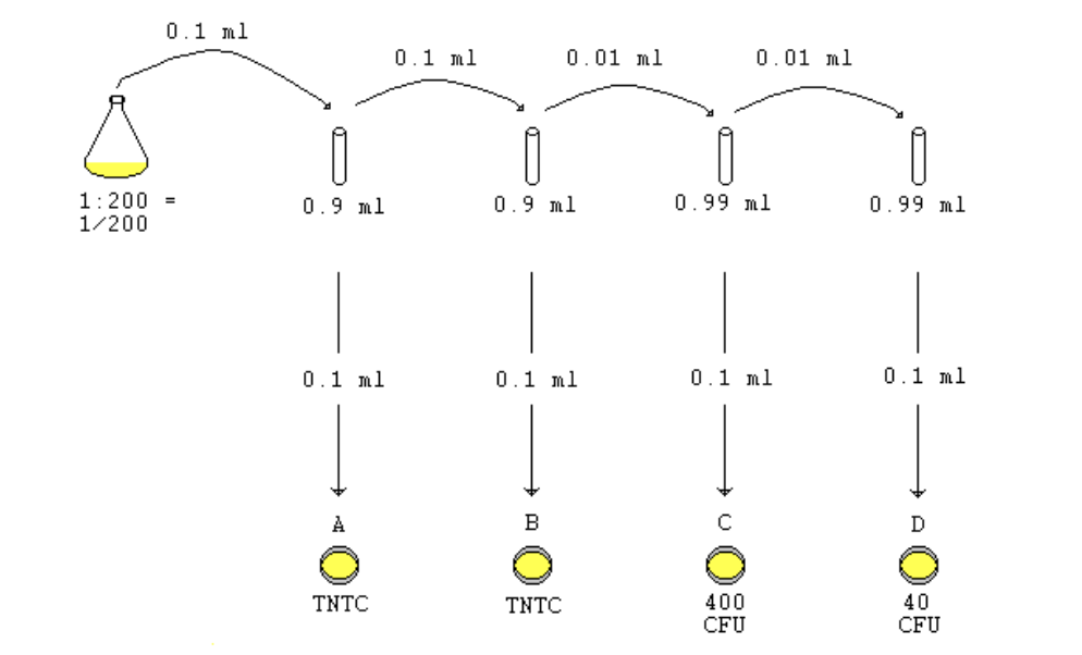 Solved Calculate the CFU/ml for the countable plate using | Chegg.com