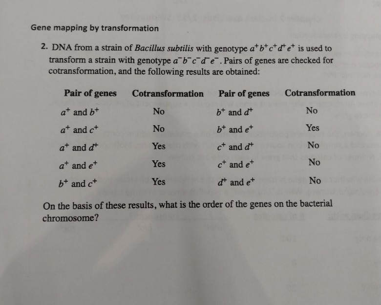 Solved Gene mapping by transformation 2. DNA from a strain | Chegg.com