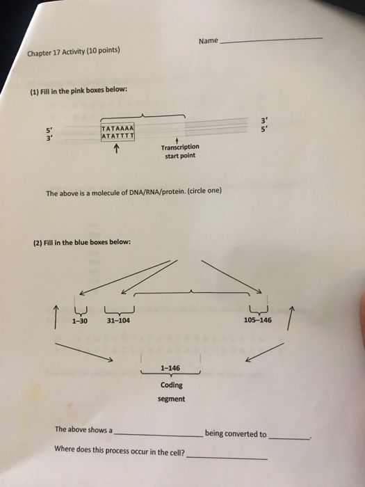 Solved Name Chapter 17 Activity (10 points) (1) Fill in the | Chegg.com